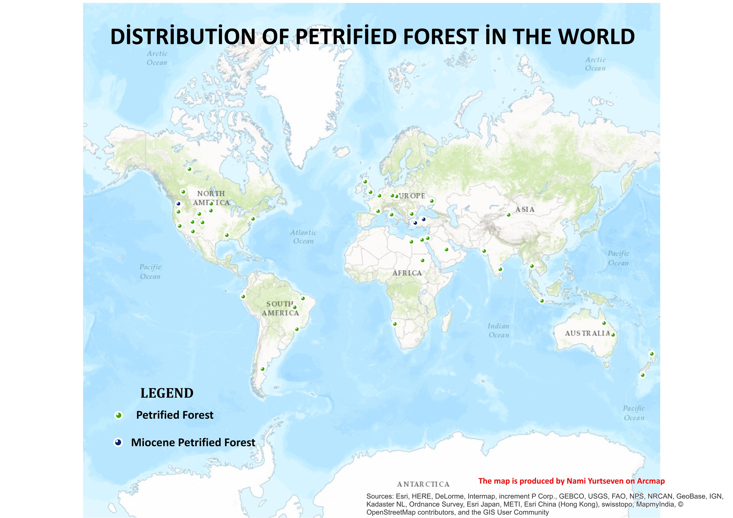 Petrified Forest Map