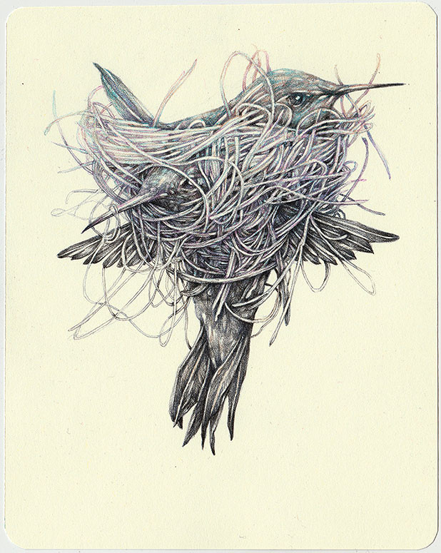 marco mazzoni - ekşi sözlük