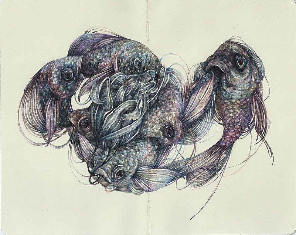 marco mazzoni - ekşi sözlük