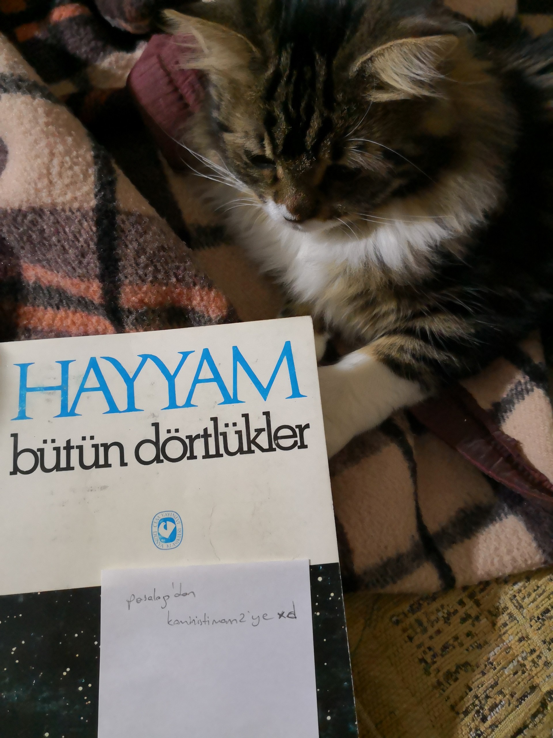 pasalog - ekşi sözlük